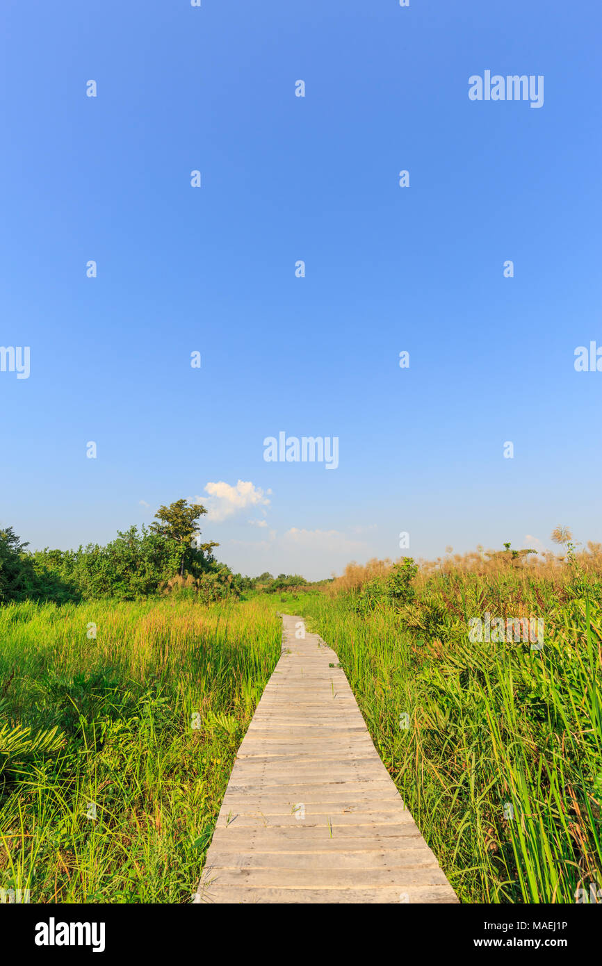 Old wood path hi-res stock photography and images - Alamy
