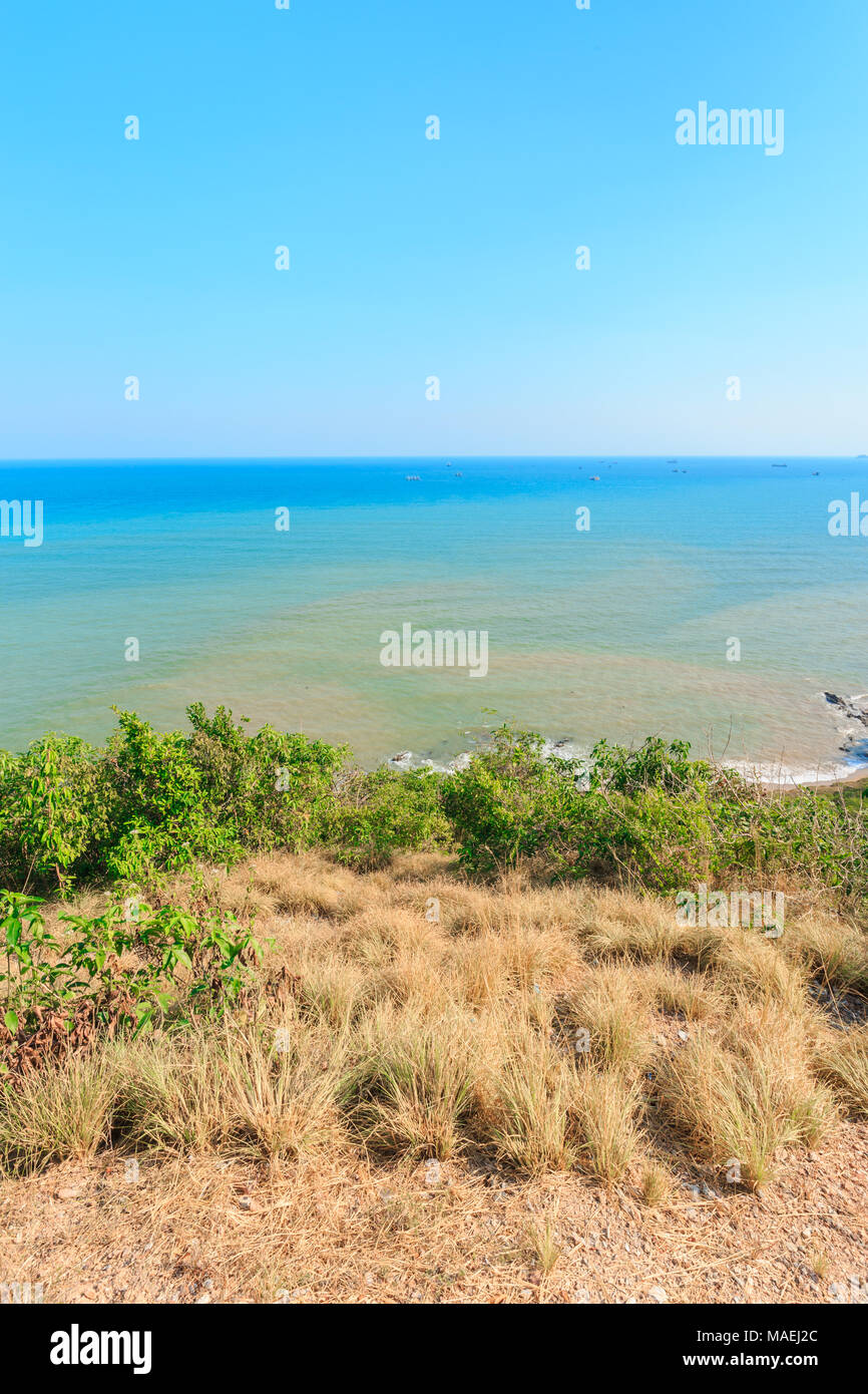tropical sea and jungle Stock Photo - Alamy