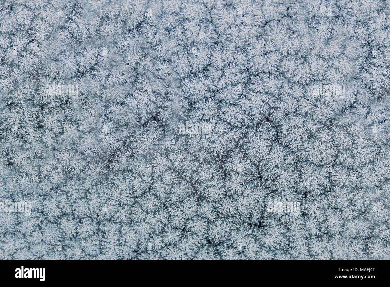 Vibrant frozen background hi-res stock photography and images - Alamy