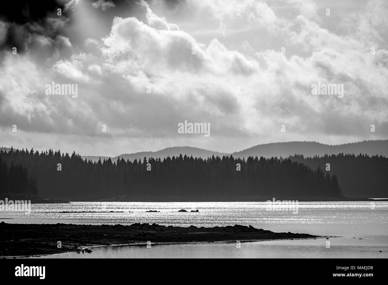Spring lake landscape with high contrast Stock Photo - Alamy
