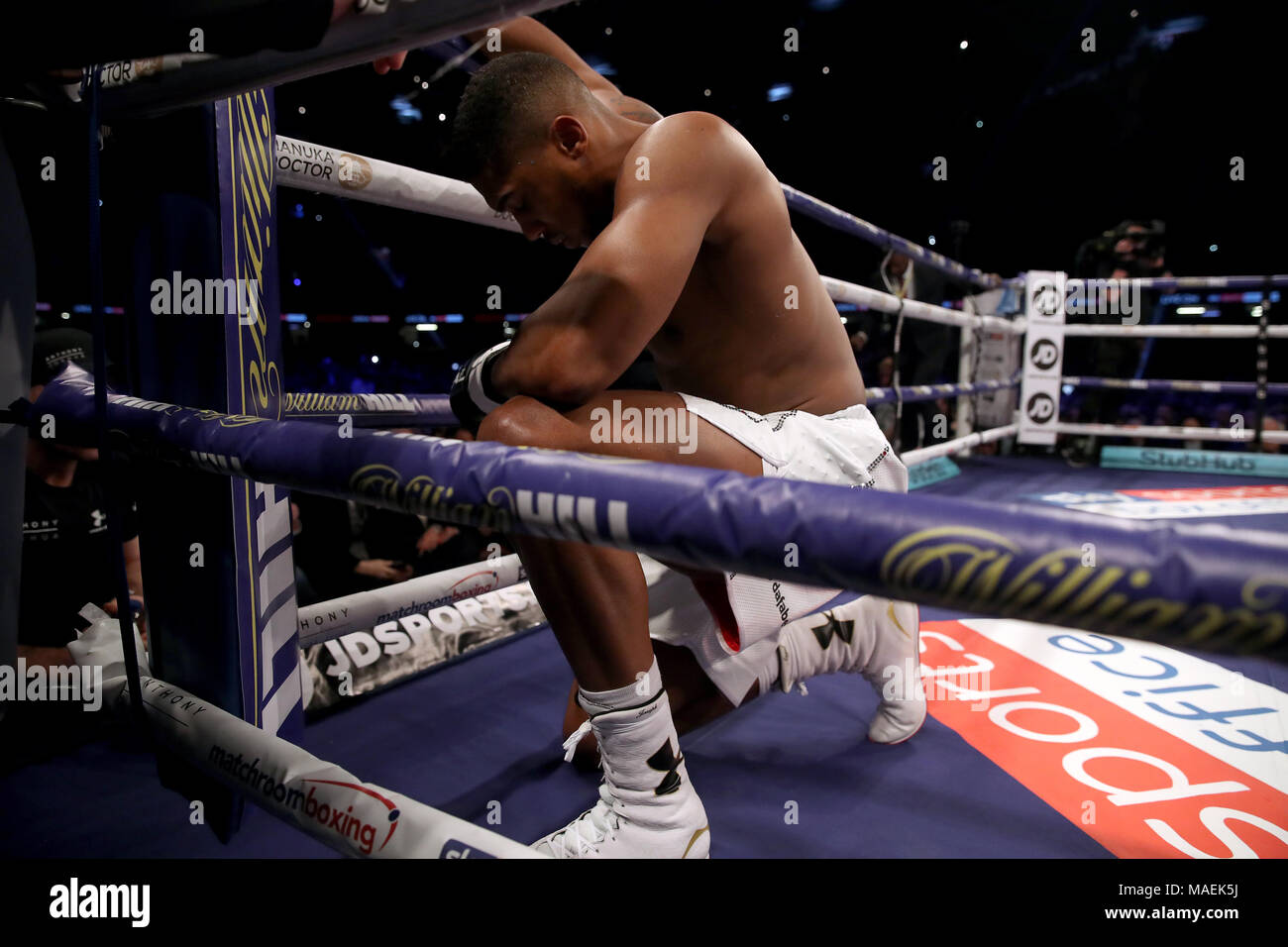 Anthony Joshua reacts in his corner during his WBA, IBF, WBO and IBO ...