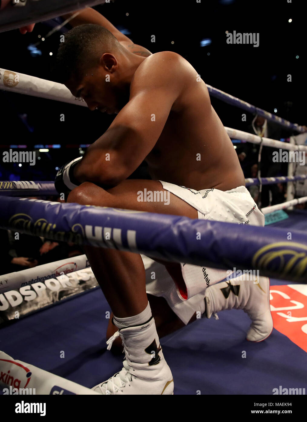 Wba wbo ibf hi-res stock photography and images - Alamy