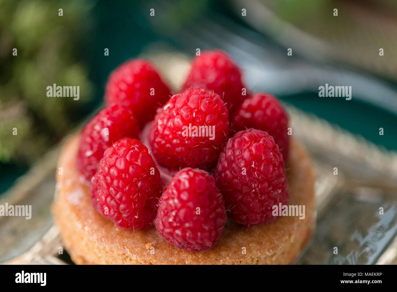 Raspberry dessert. table setting. Wedding decor in the magic forest for ...