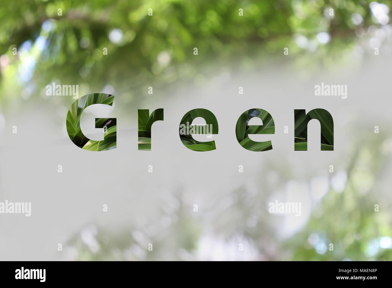 Nature typography hi-res stock photography and images - Alamy