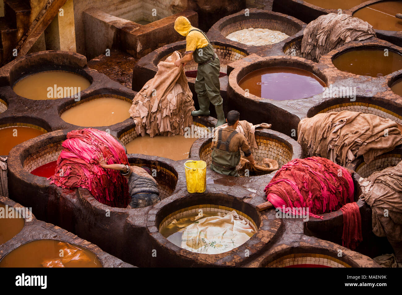 Morocco, Fes, Chaouwara Tanneries, workers in pit tanning leather in ...