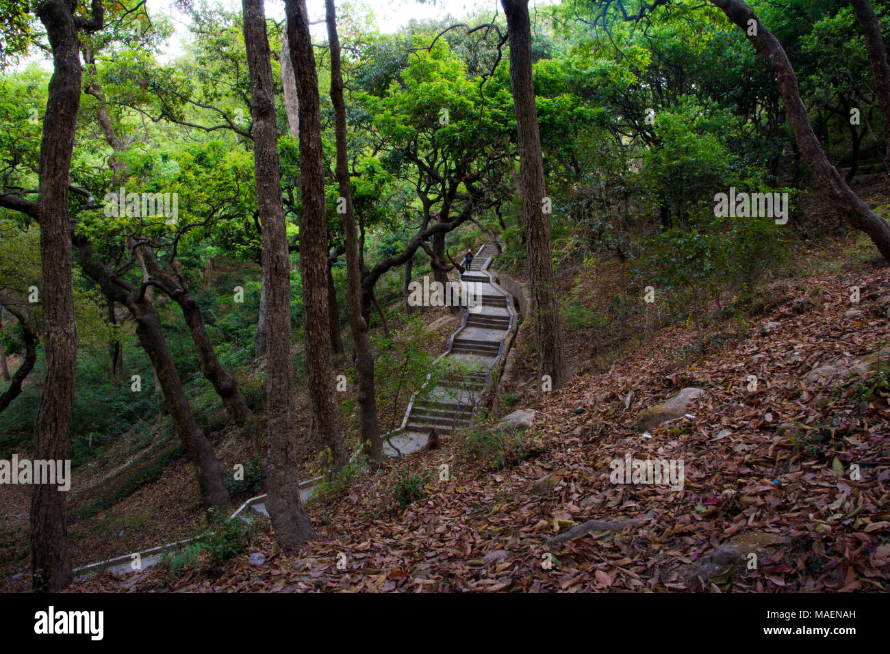 Path way to Buddha Stupa Stock Photo - Alamy