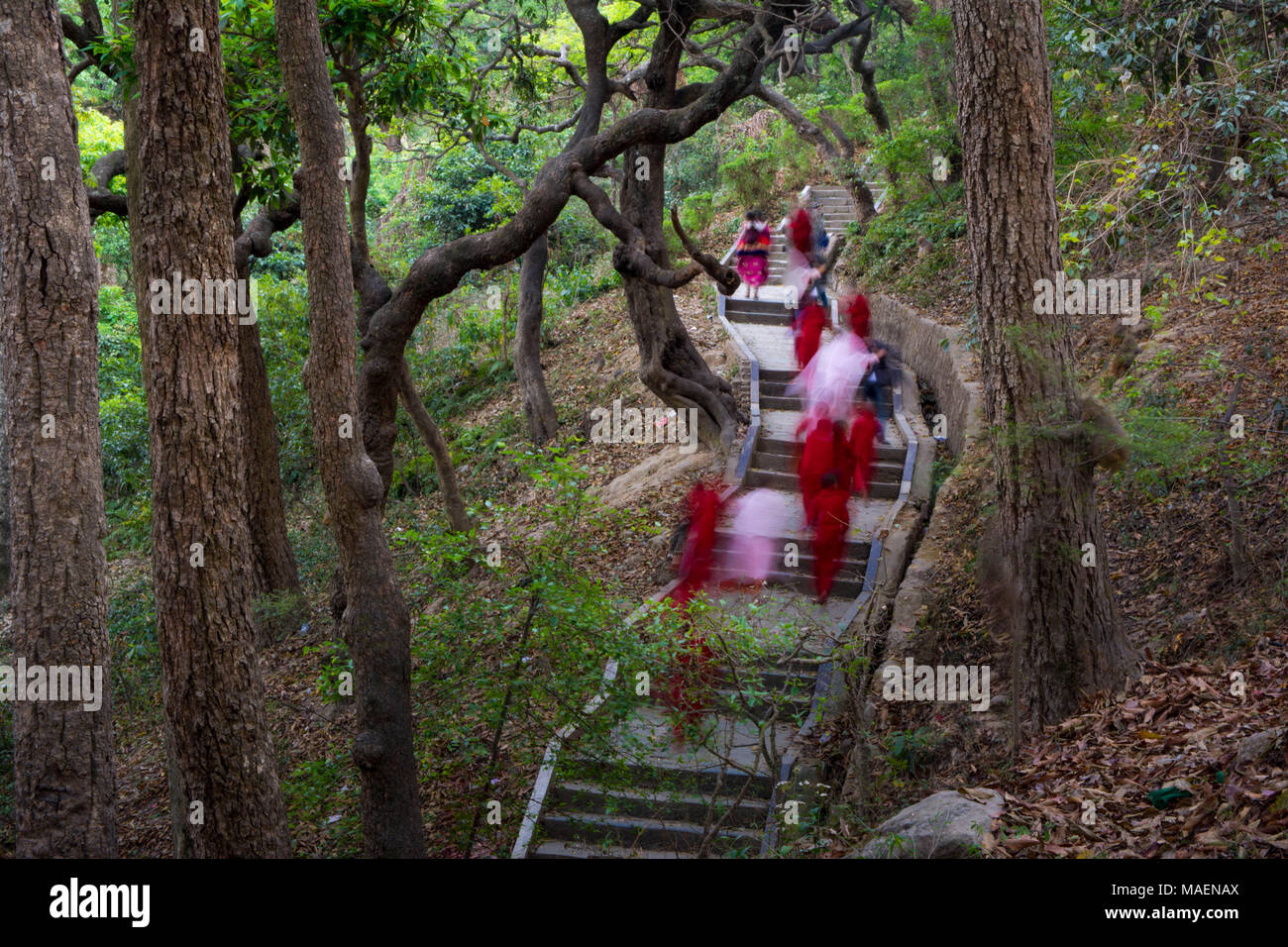 Path way to Buddha Stupa Stock Photo - Alamy