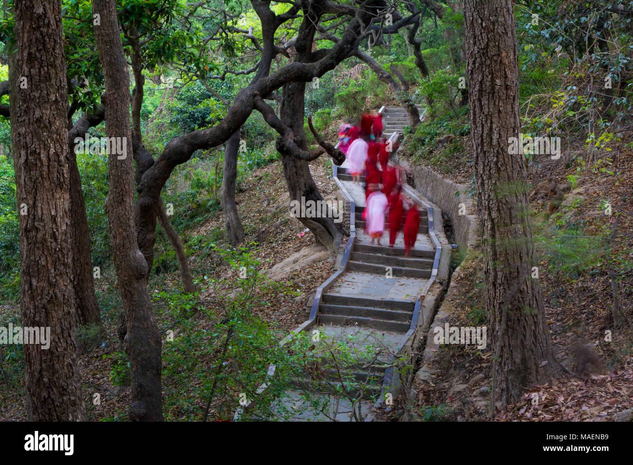 Path way to Buddha Stupa Stock Photo - Alamy
