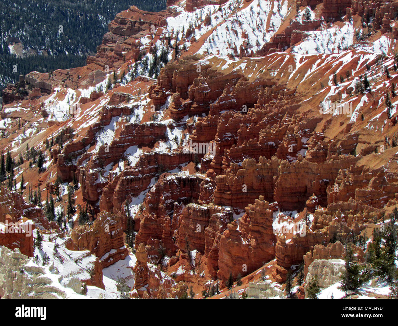 Cedar Breaks NM at Dixie NF in UT Stock Photo - Alamy