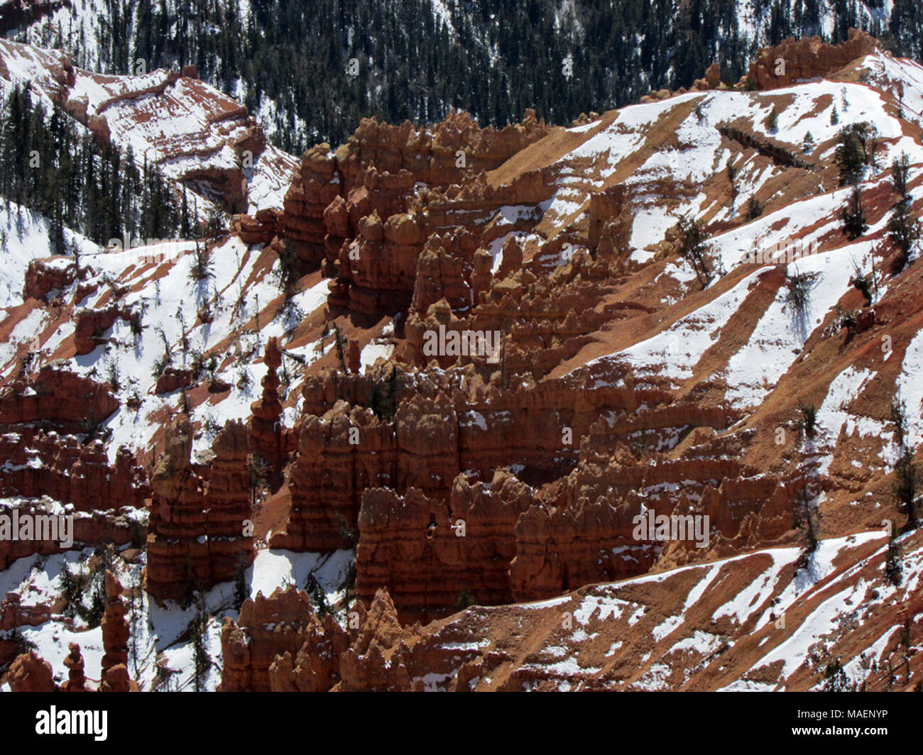 Cedar Breaks NM at Dixie NF in UT Stock Photo - Alamy