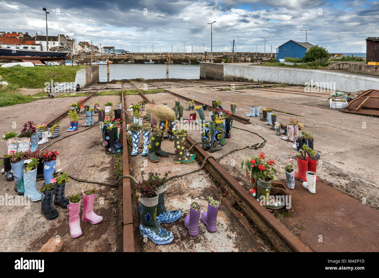 Wellie Boot Garden, St Monans Harbour, Neuk of Fife, Fifeshire ...