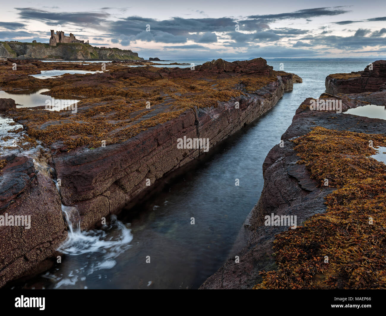 Seacliff beach scotland hi-res stock photography and images - Alamy