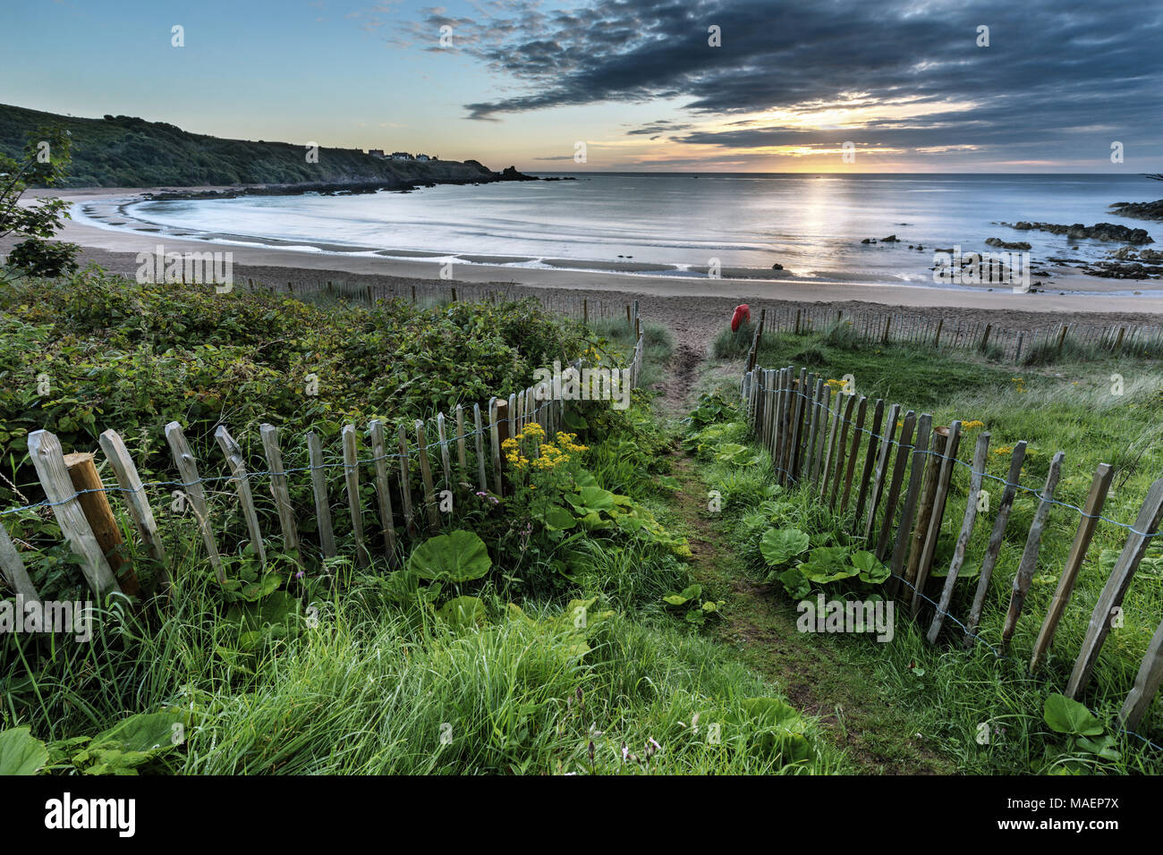 Beach at coldingham bay hi-res stock photography and images - Alamy