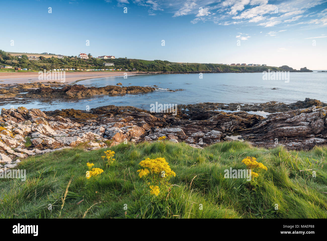 Coldingham Bay, Berwickshire, Scotland Stock Photo - Alamy