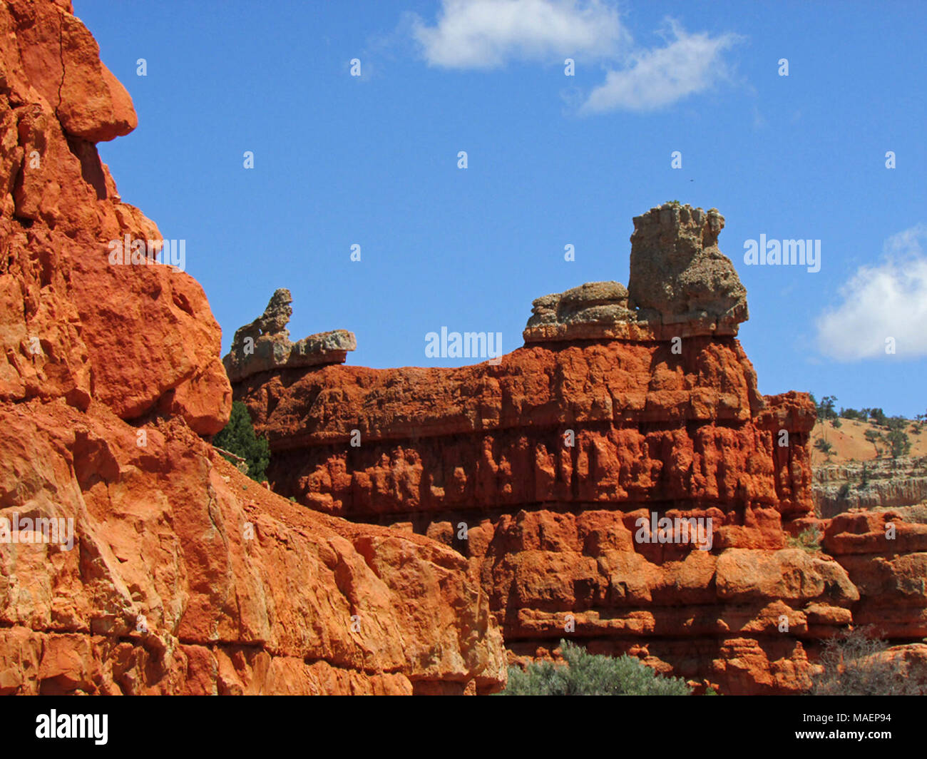 Dixie NF in UT Stock Photo - Alamy