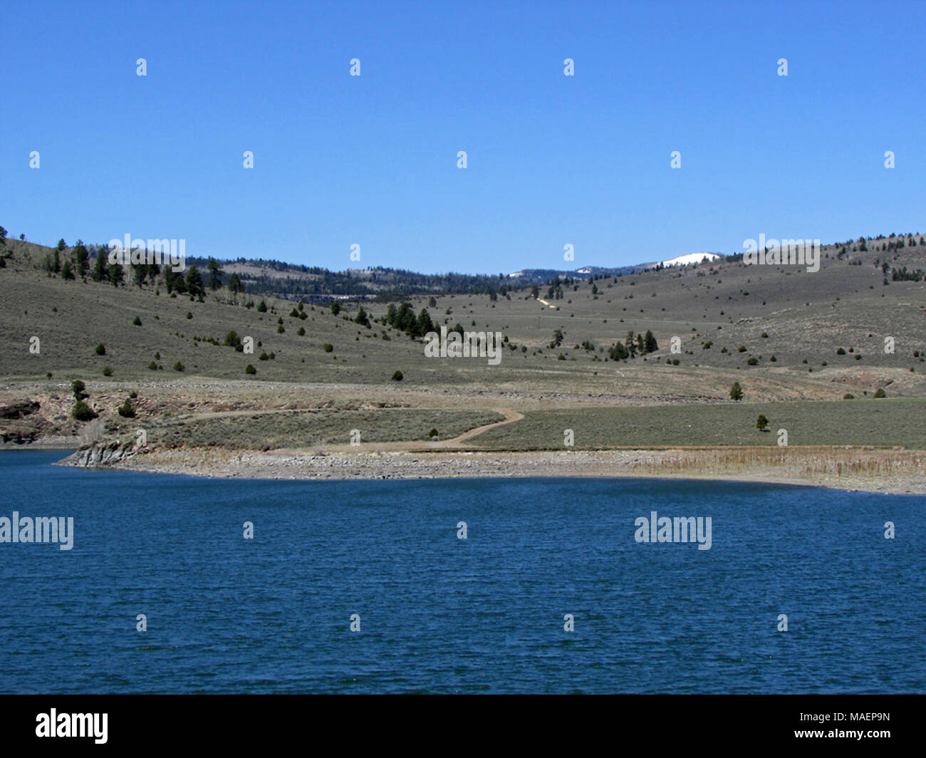 Dixie NF in UT Stock Photo - Alamy