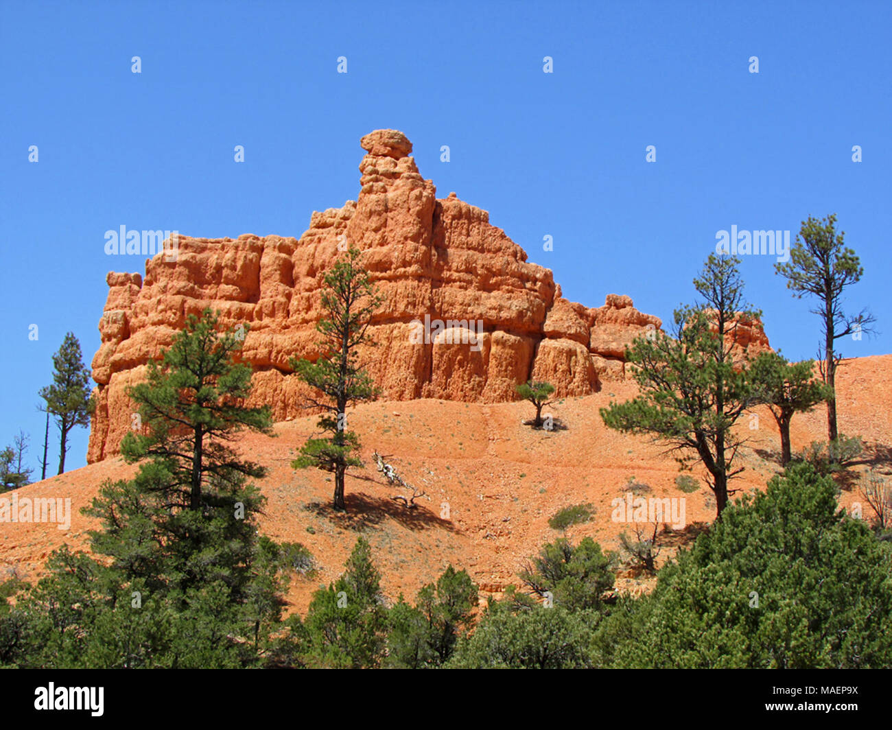 Dixie NF in UT Stock Photo - Alamy