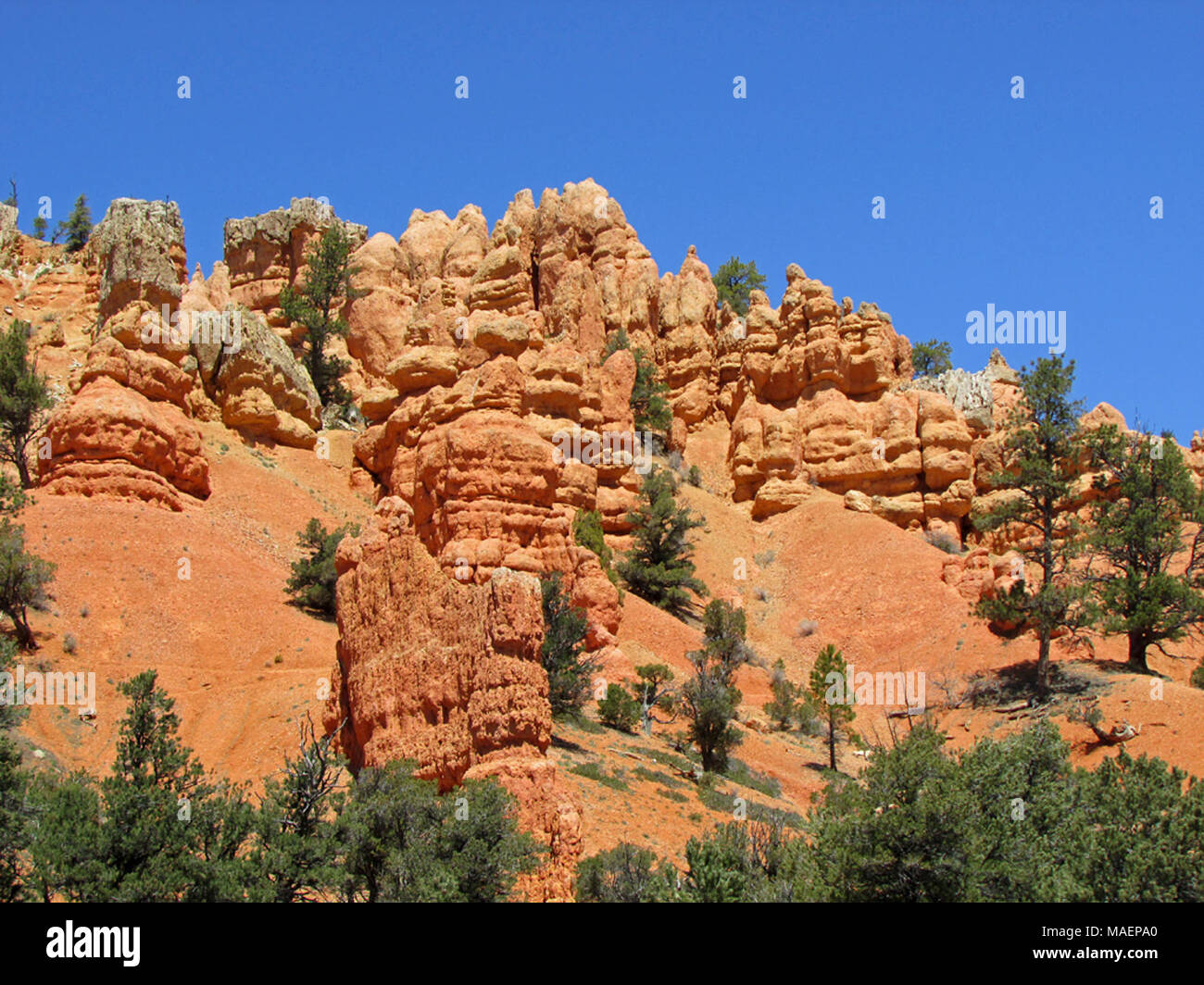 Dixie NF in UT Stock Photo - Alamy