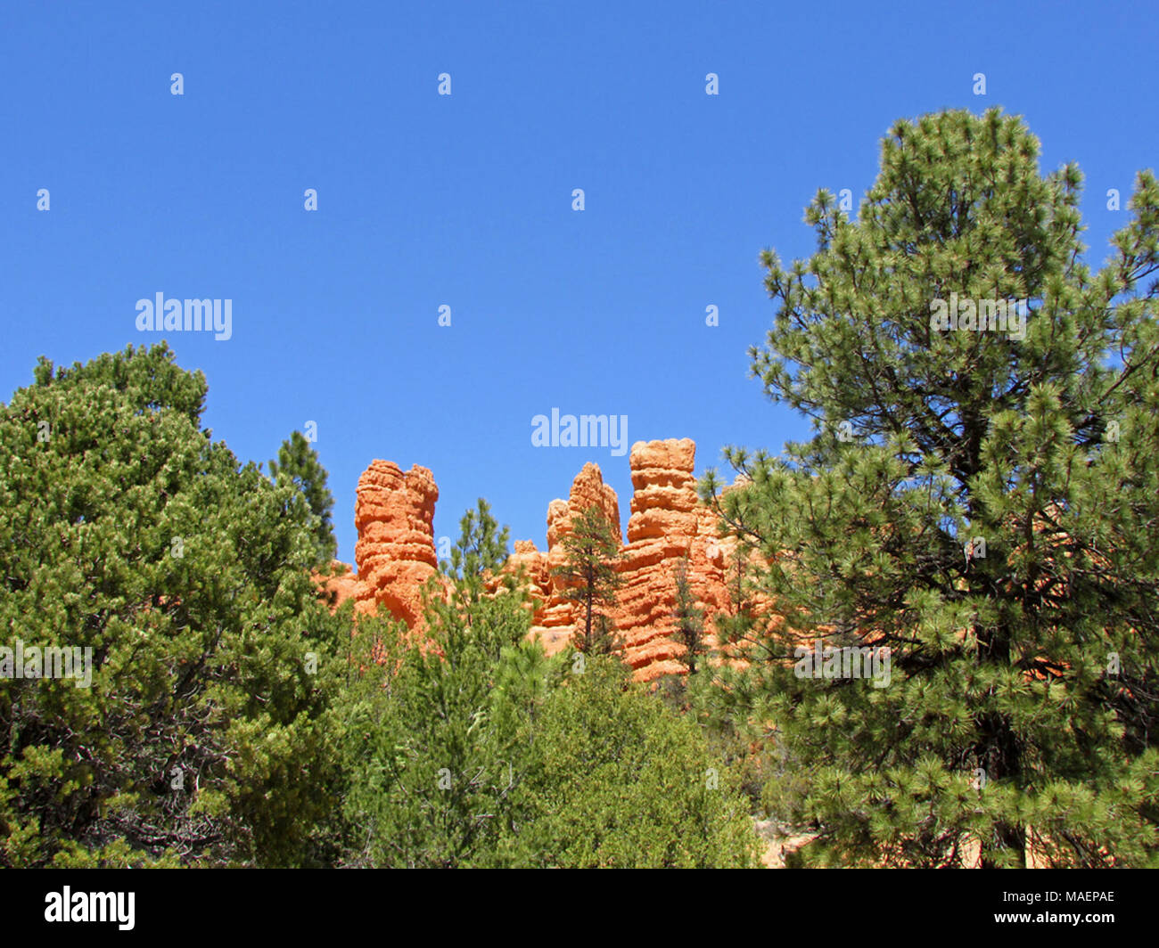Dixie NF in UT Stock Photo - Alamy