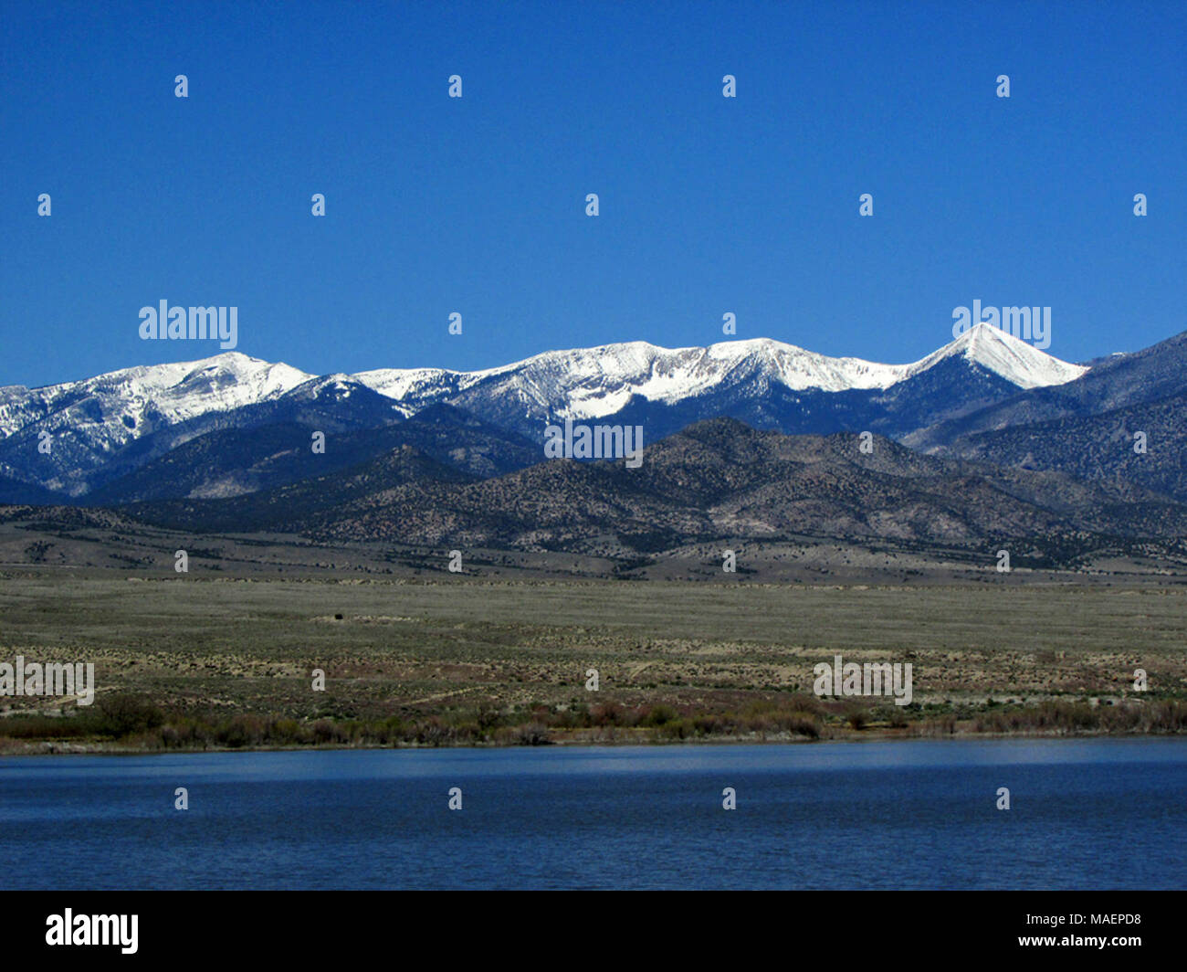 Great Basin NP in NV Stock Photo - Alamy