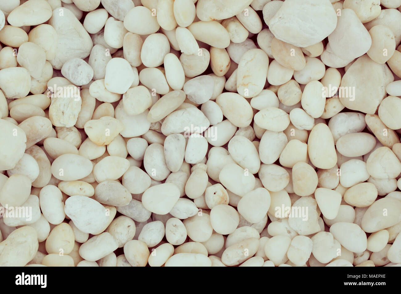 white Pebble beach texture Stock Photo - Alamy