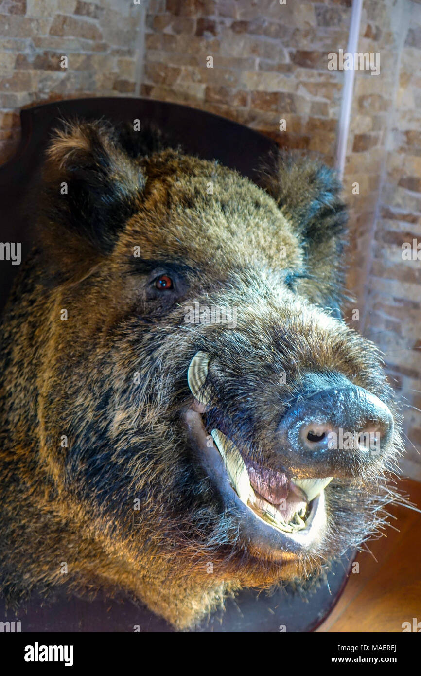 Head mounted display hi-res stock photography and images - Alamy