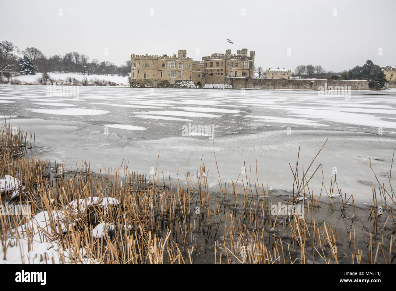Leeds Castle in Kent in the snow Featuring: Leeds Castle Where ...