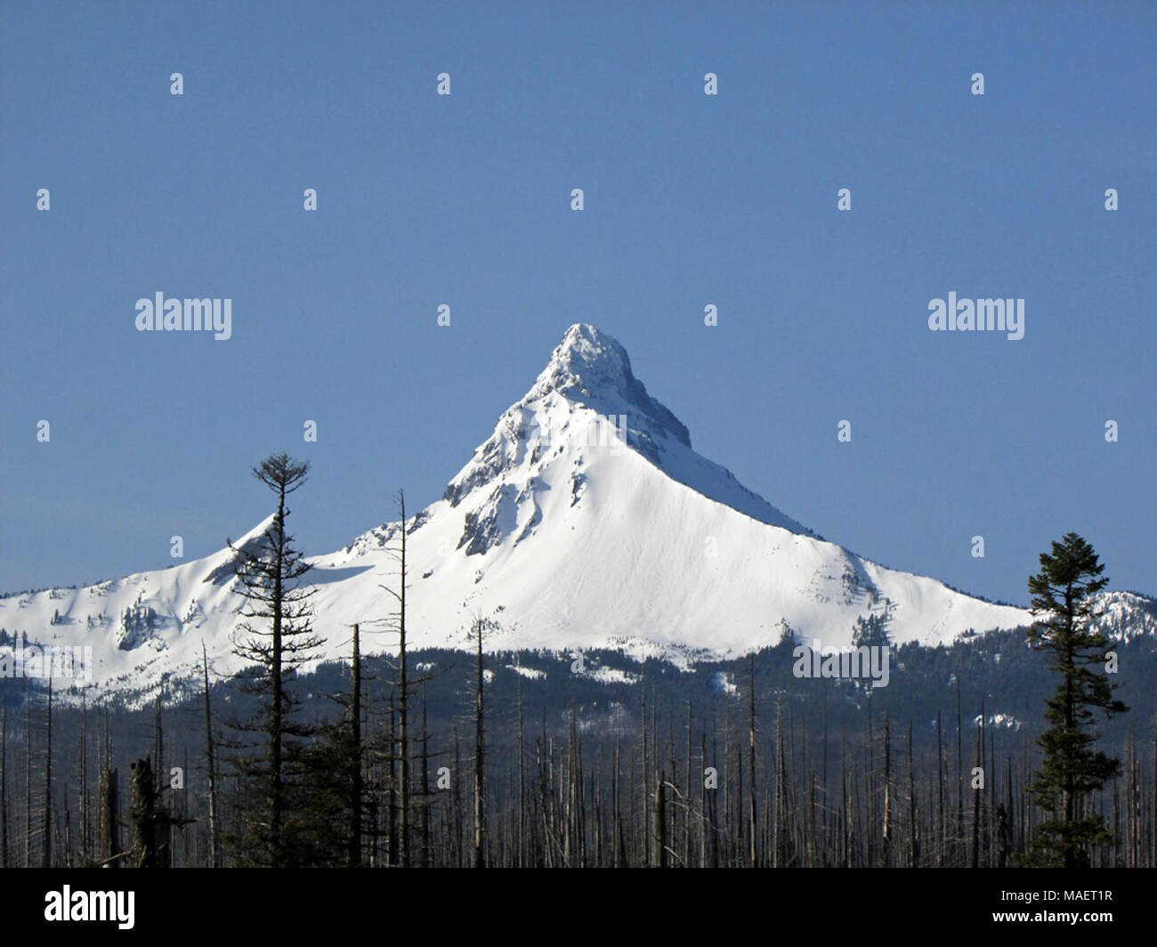 Mt Washington in Central OR Stock Photo - Alamy