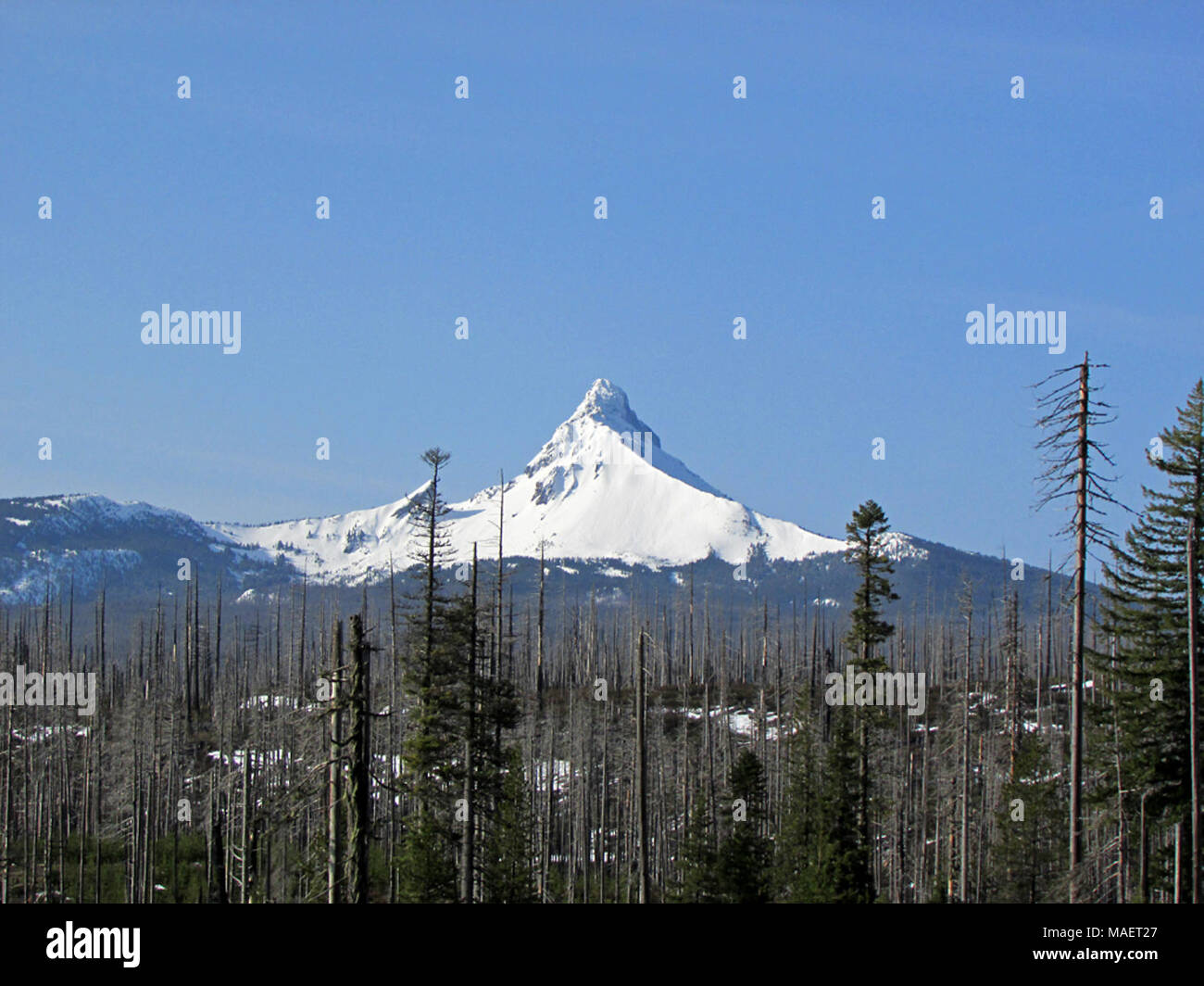 Mt Washington in Central OR Stock Photo - Alamy