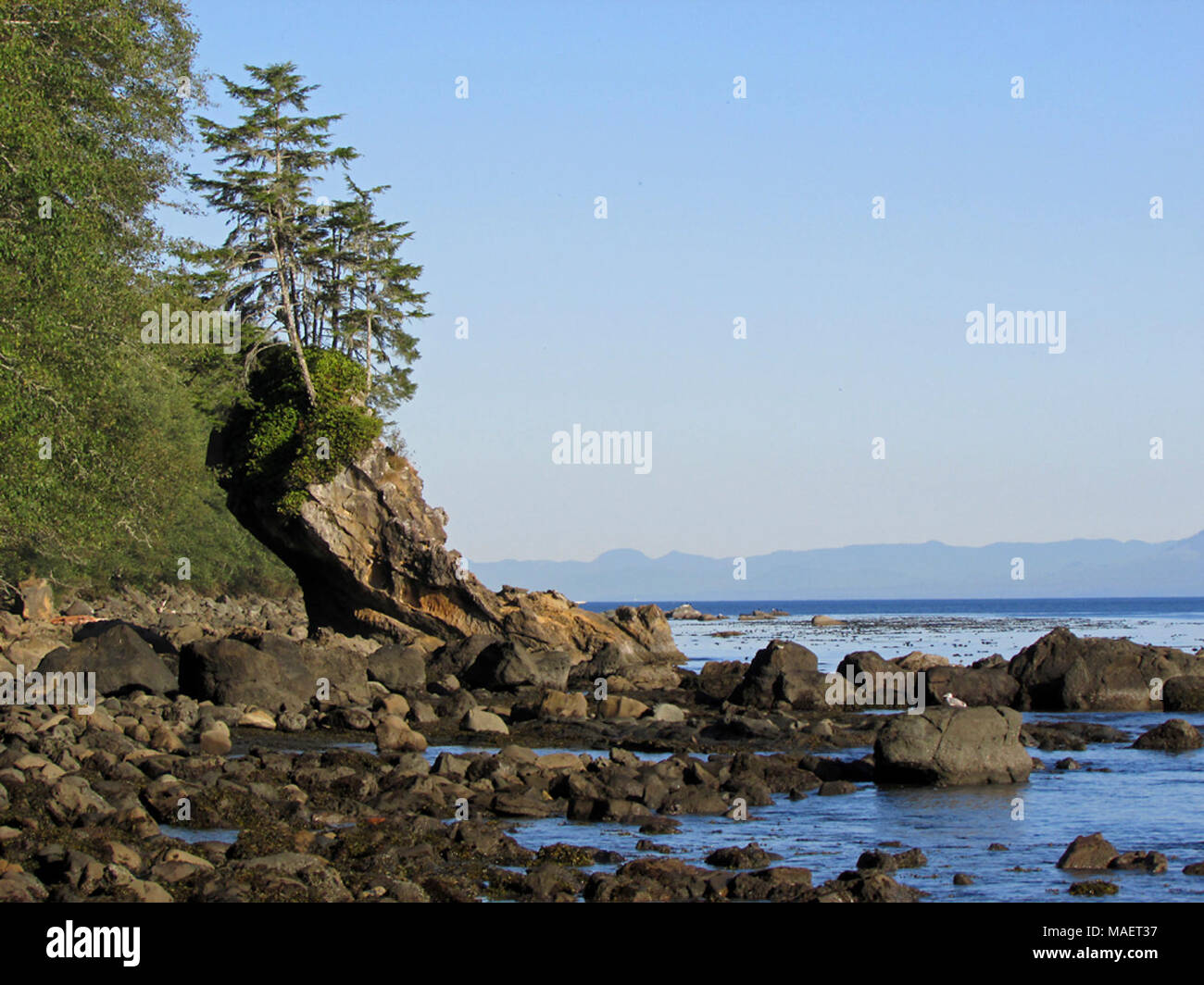 Neah Bay at Pacific Coast in WA Stock Photo - Alamy