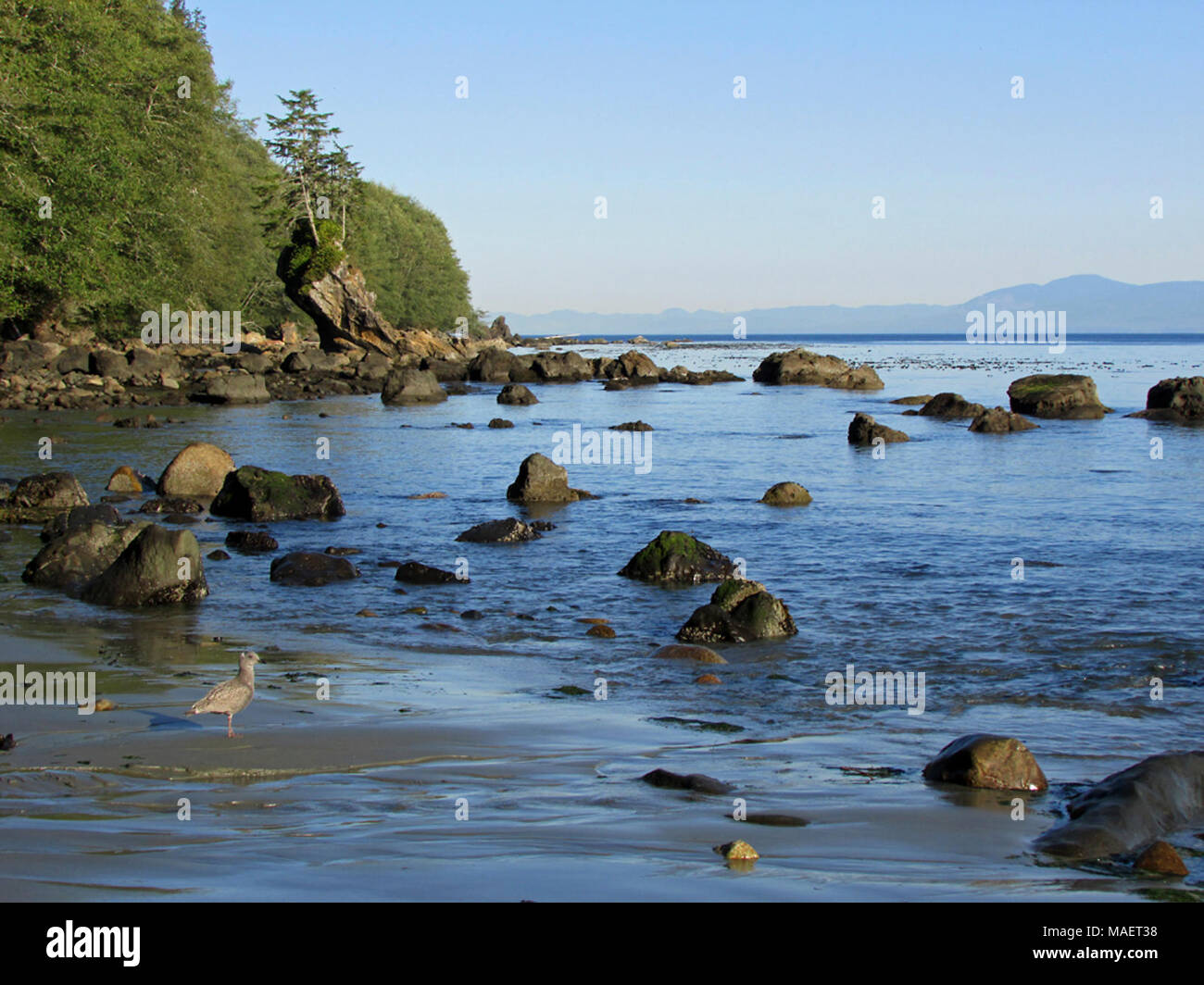 Neah Bay at Pacific Coast in WA Stock Photo - Alamy