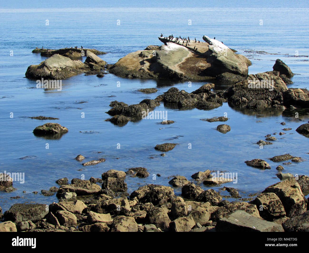 Neah Bay at Pacific Coast in WA Stock Photo - Alamy