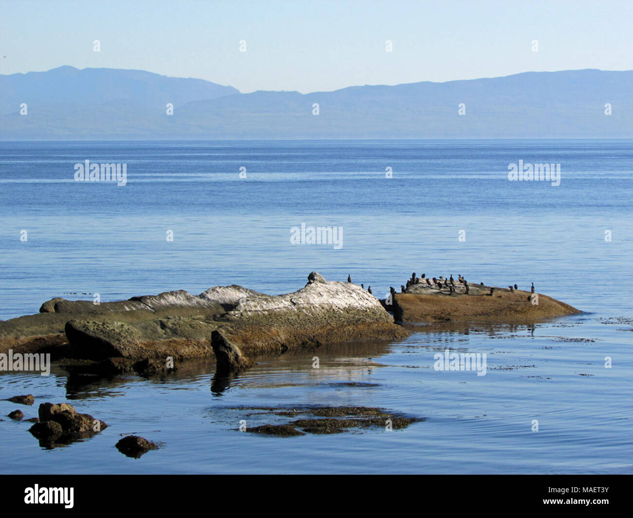 Neah Bay at Pacific Coast in WA Stock Photo - Alamy