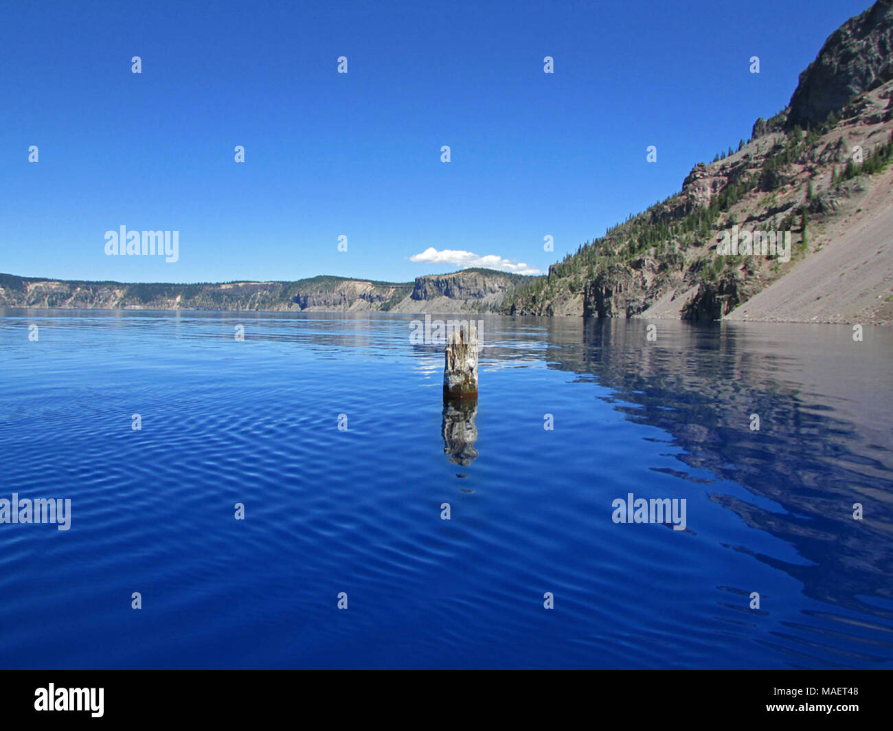 Old Man of The Lake at Crater Lake NP in Stock Photo - Alamy