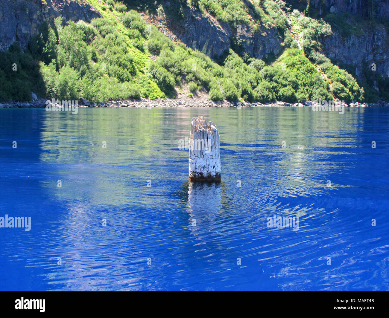 Old Man of The Lake at Crater Lake NP in Stock Photo - Alamy