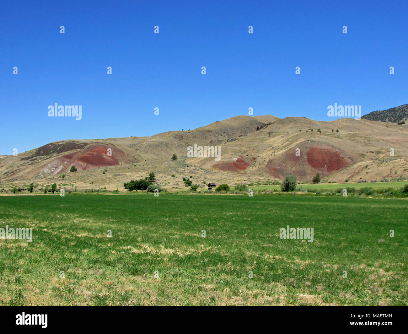 Sheep Rock Unit at John Day Fossil Beds NM in Stock Photo - Alamy