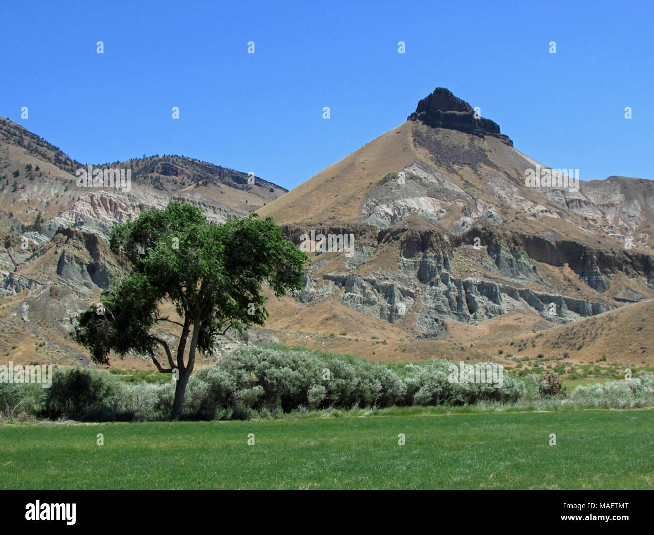 Sheep Rock Unit at John Day Fossil Beds NM in Stock Photo - Alamy