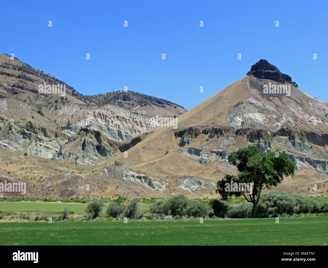 Sheep Rock Unit at John Day Fossil Beds NM in Stock Photo - Alamy
