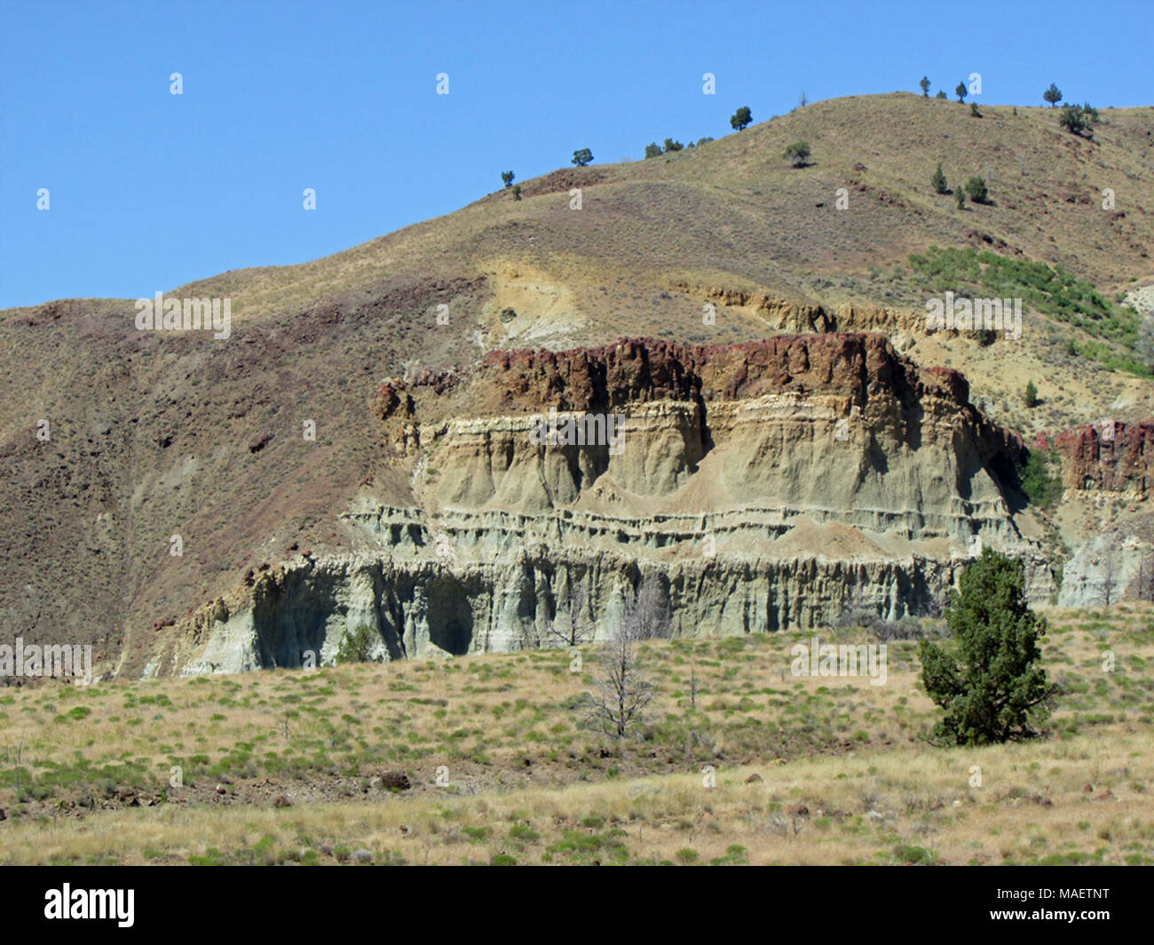 Sheep Rock Unit at John Day Fossil Beds NM in Stock Photo - Alamy