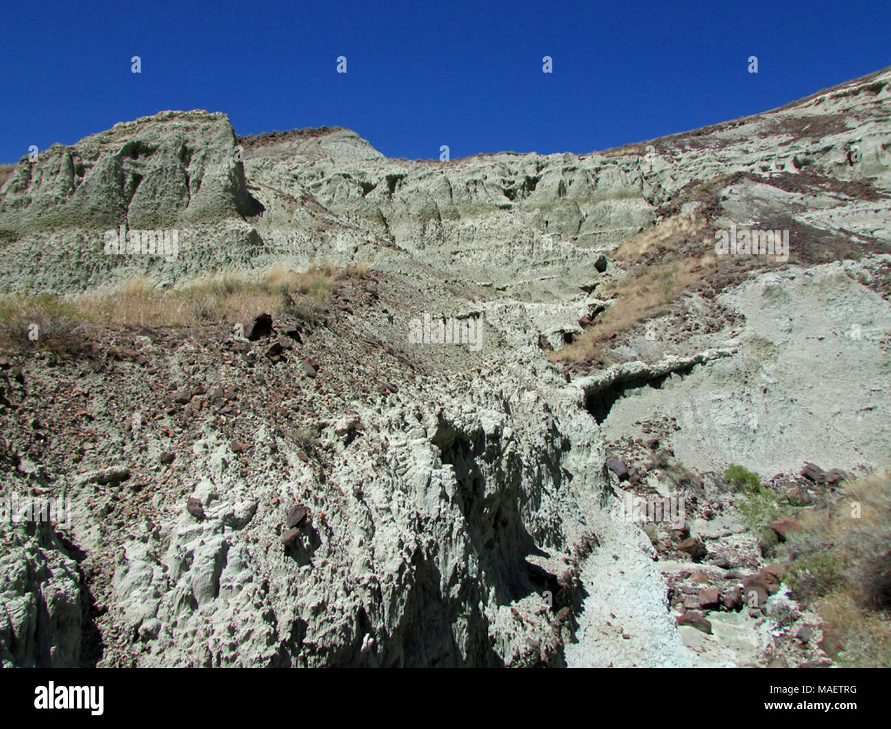 Sheep Rock Unit at John Day Fossil Beds NM in Stock Photo - Alamy