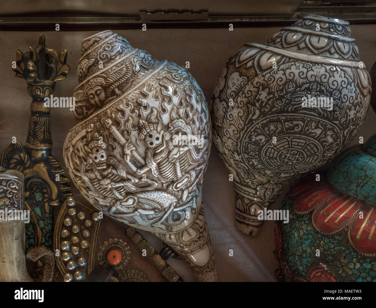 Ancient Tibetan ritual sea shells for religious pujas: shells are cut ...