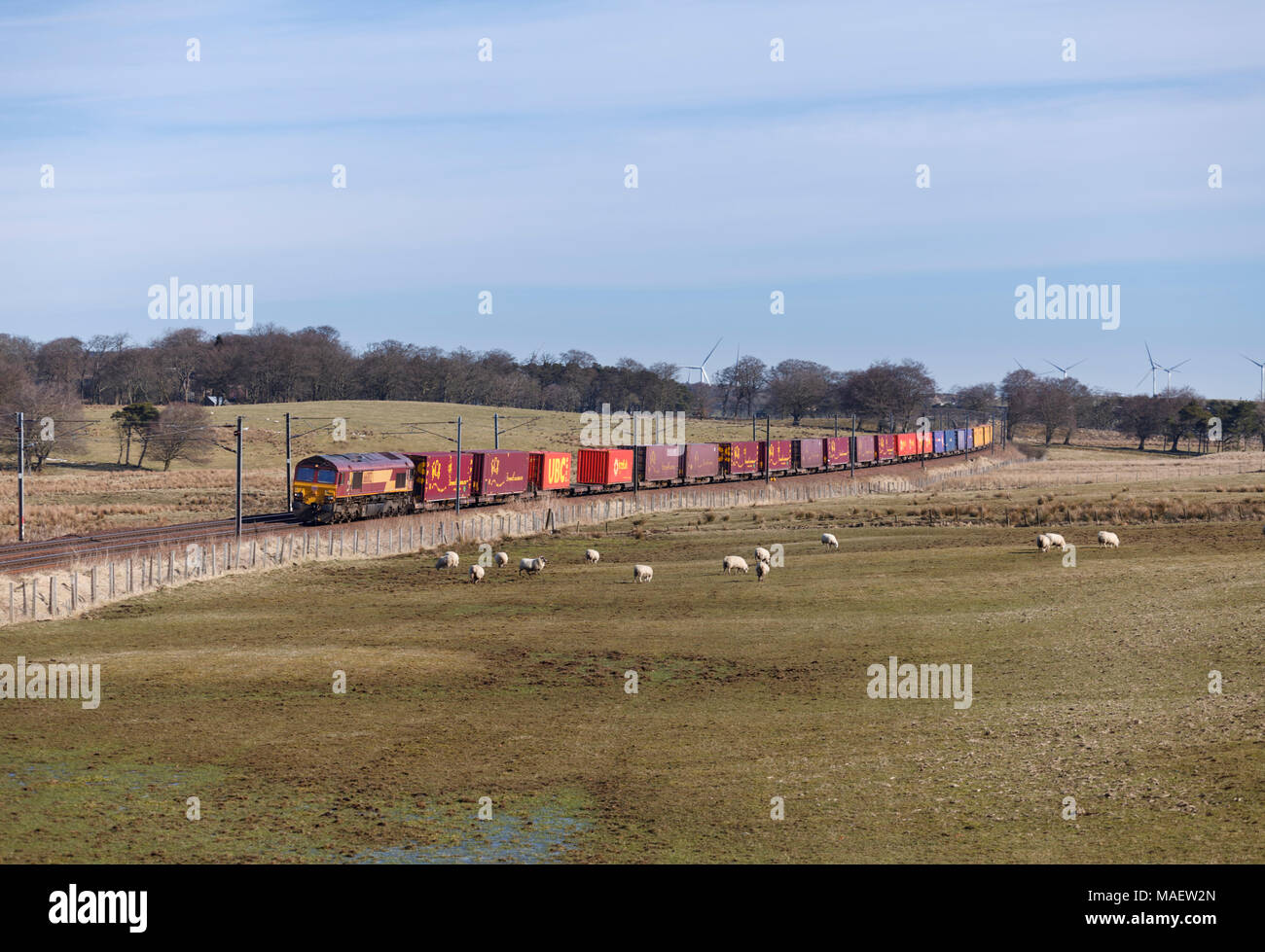 Db schenker container hi-res stock photography and images - Alamy