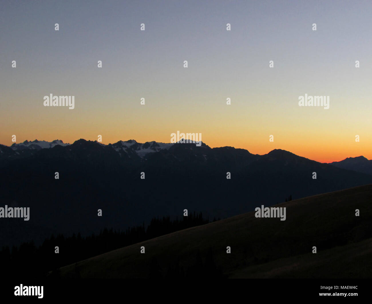 Sunset at Hurricane Ridge at Olympic NP in WA Stock Photo - Alamy