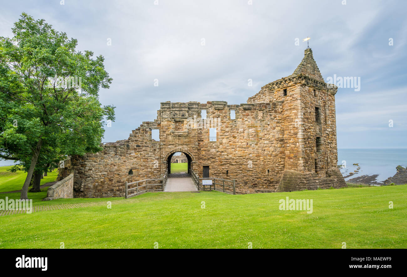 Main facade of Saint Andrew's Castle, Fife, Scotland Stock Photo - Alamy