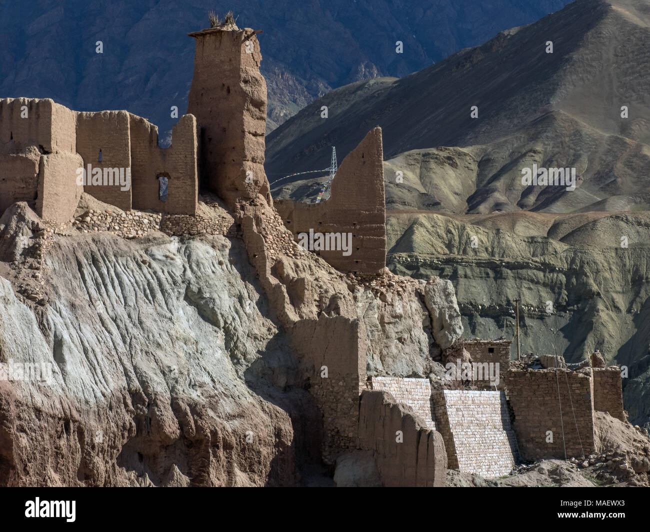 Ancient Buddhist monastery of Basgo Gonpa, standing on top of a pink ...