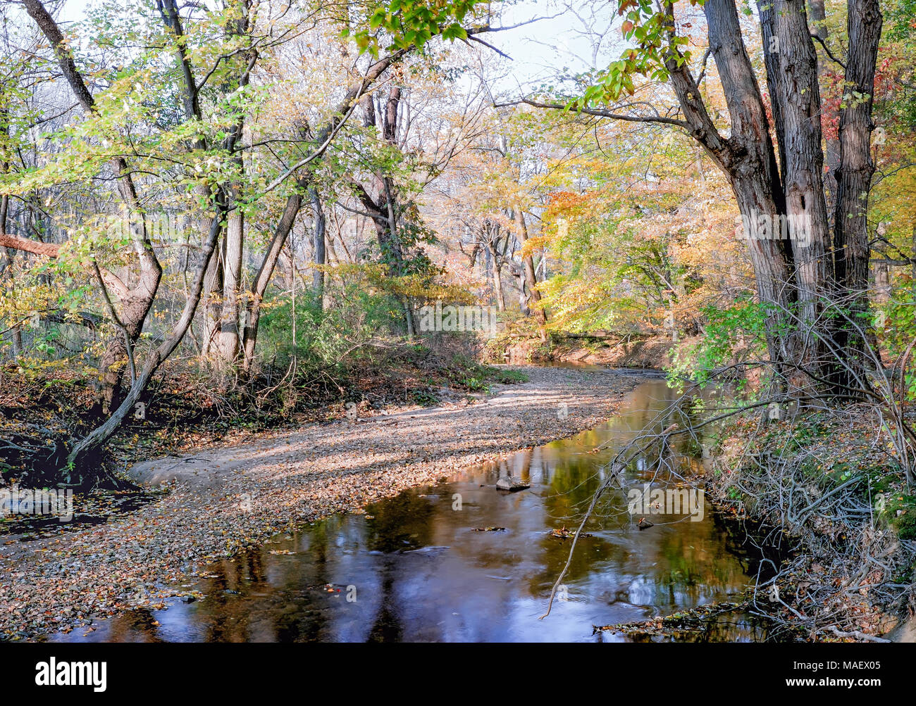 Poquessing creek hi-res stock photography and images - Alamy