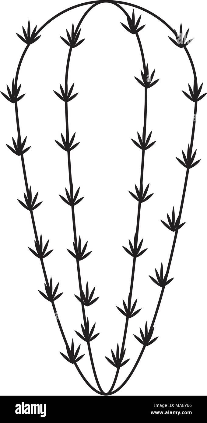 line desert cactus plant leaf design vector illustration Stock Vector ...