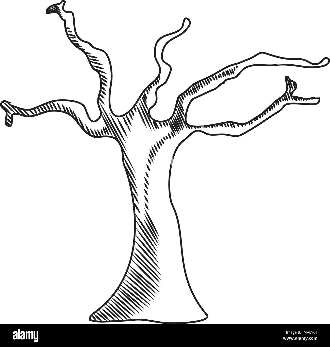 line nature desert dry tree with branches vector illustration Stock ...