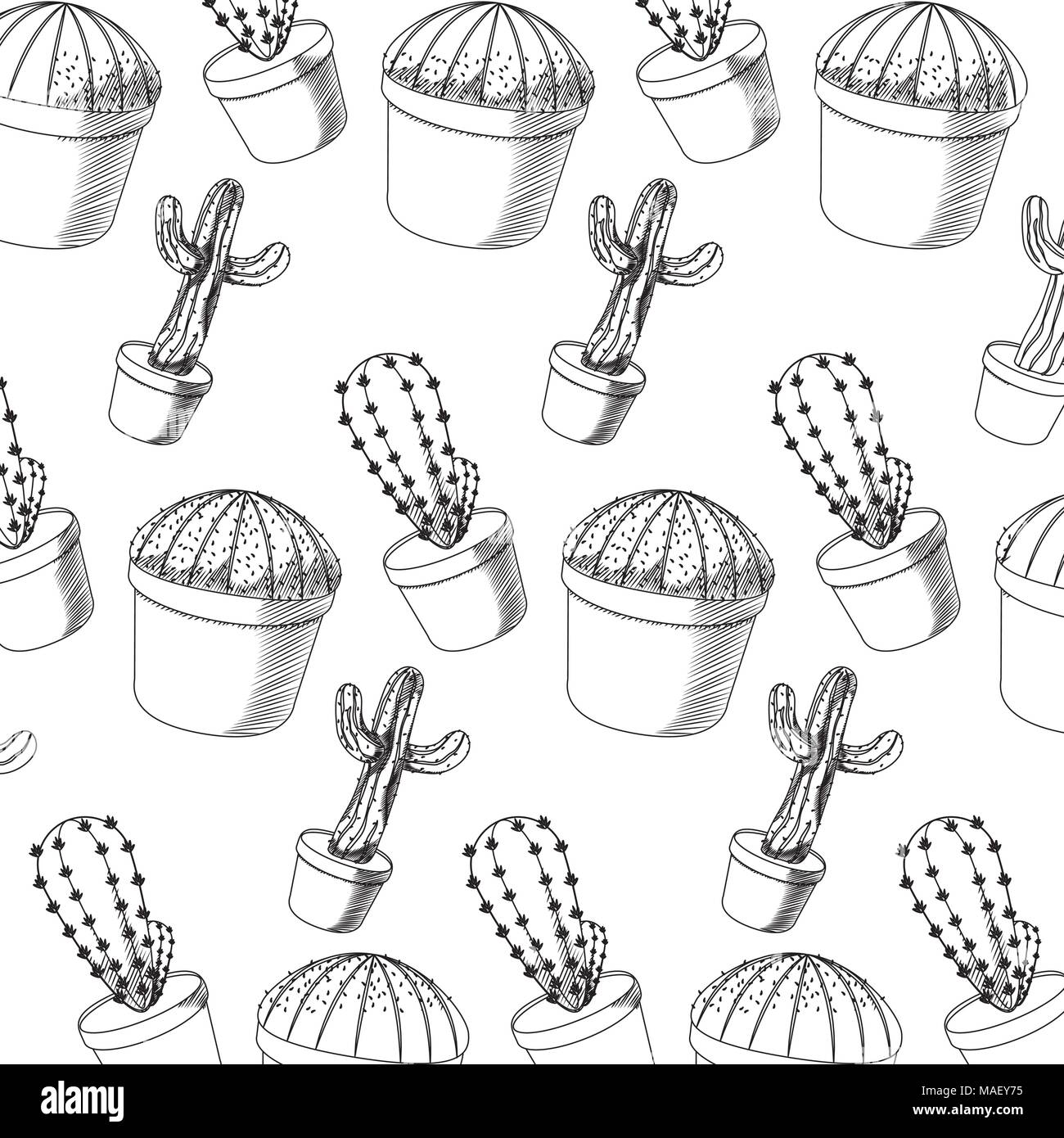 line desert cactus natures plants background vector illustration Stock ... line desert cactus natures plants background vector illustration Stock ...