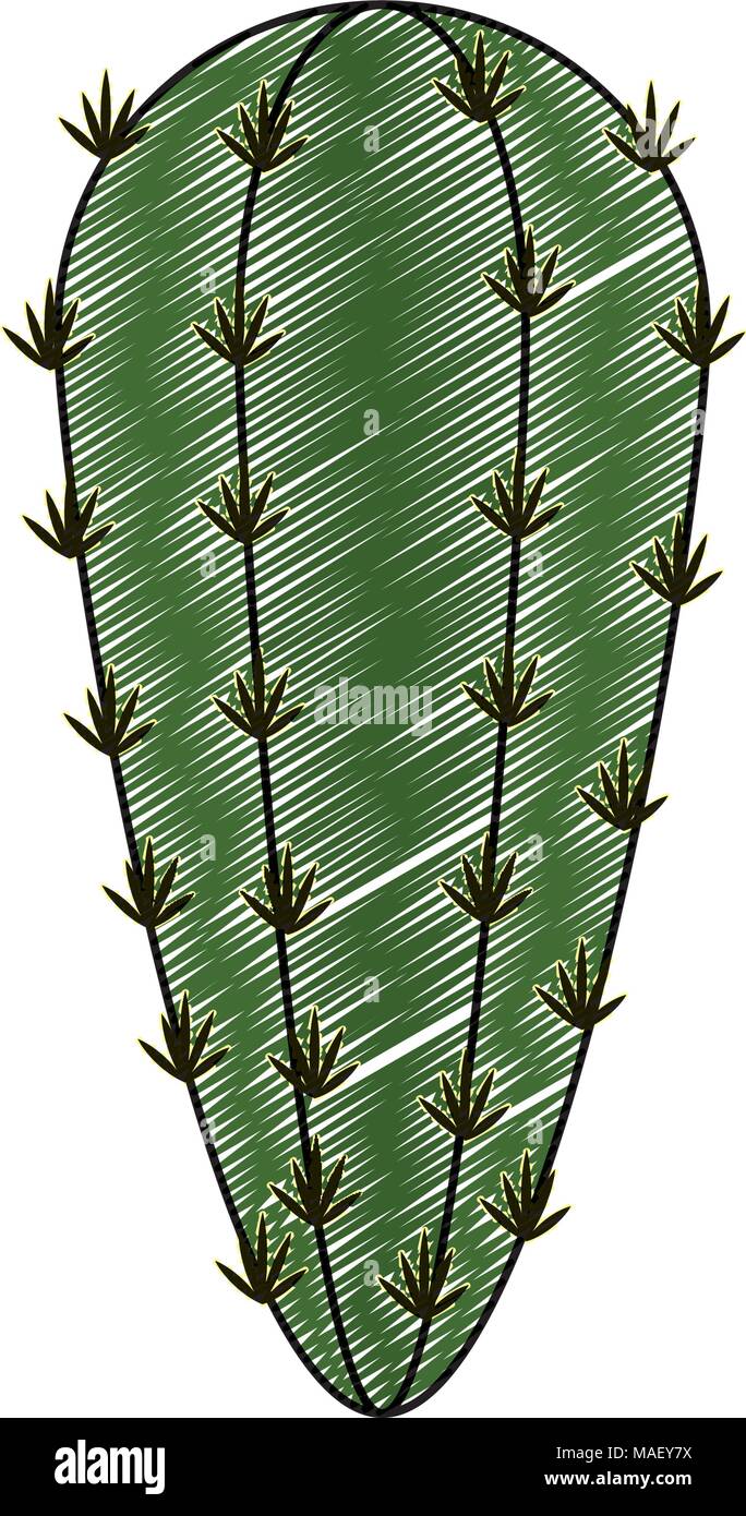 doodle desert cactus plant leaf design vector illustration Stock Vector ...
